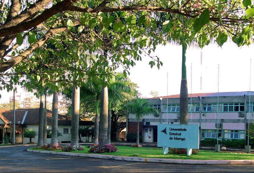 Inscrições para vestibular da UEM terminam nesta quarta-feira (09)